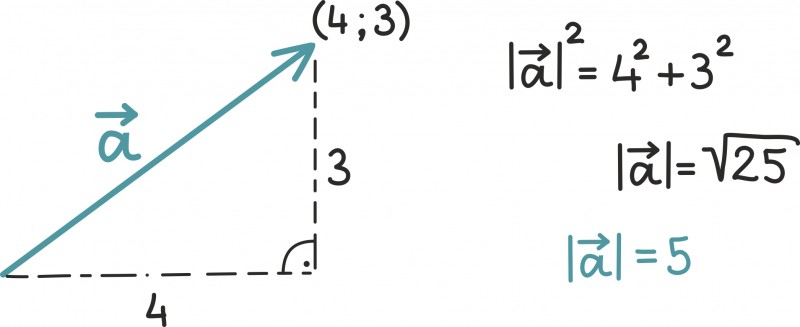 Vektor - Matemaatika - 10. klass | TaskuTark
