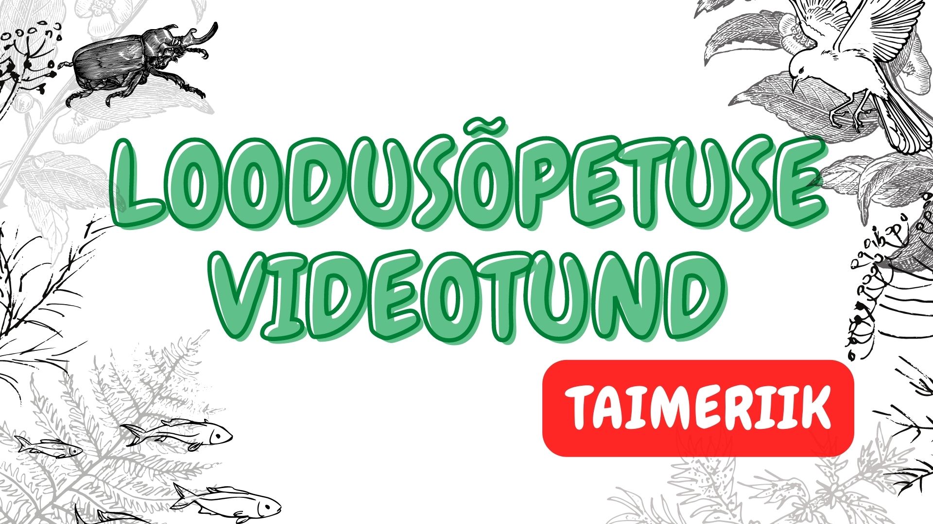 Lehtpuud | Loodusõpetuse videotund. Taimeriik - Õpiamps | TaskuTark